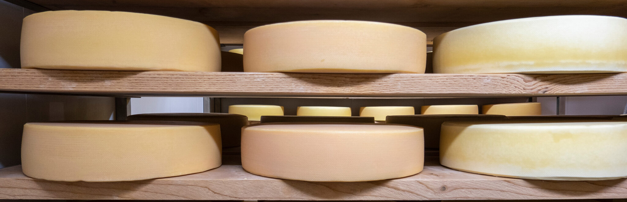 Nutritional properties of Swiss cheeses - Basel Restaurant